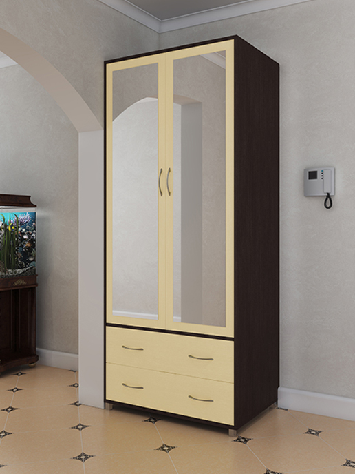 Шкаф Rio 2D2S (венге мария/ дуб молочный) | Ами Мебель